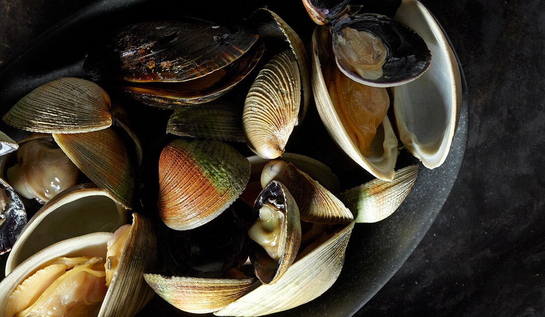 Scoicile | Electrolux